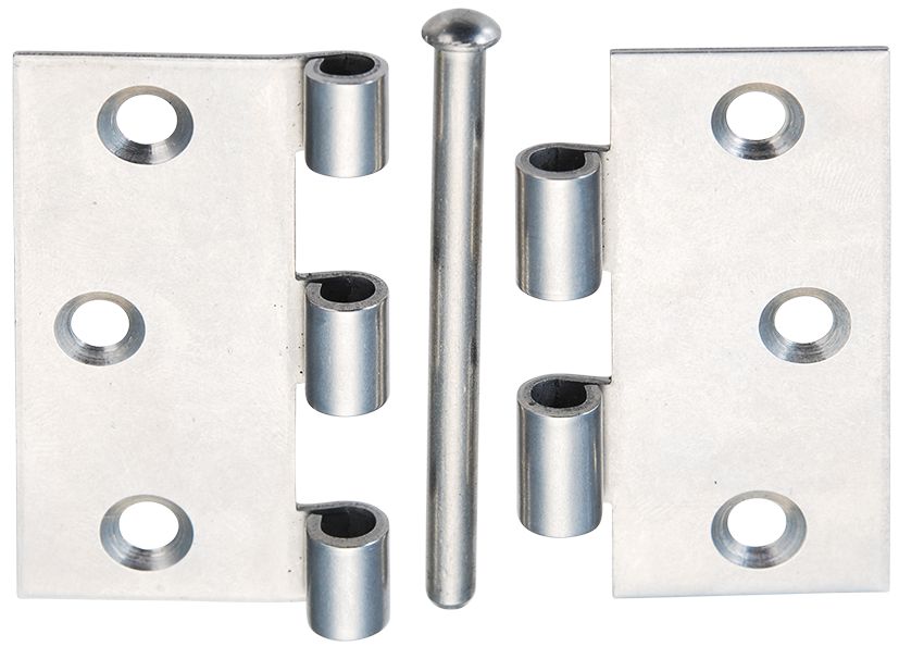 Stainless steel hinge with extricable pin | TOPLICHT