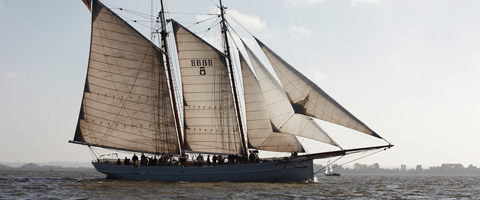 Explore engine control & push pull cables now | TOPLICHT